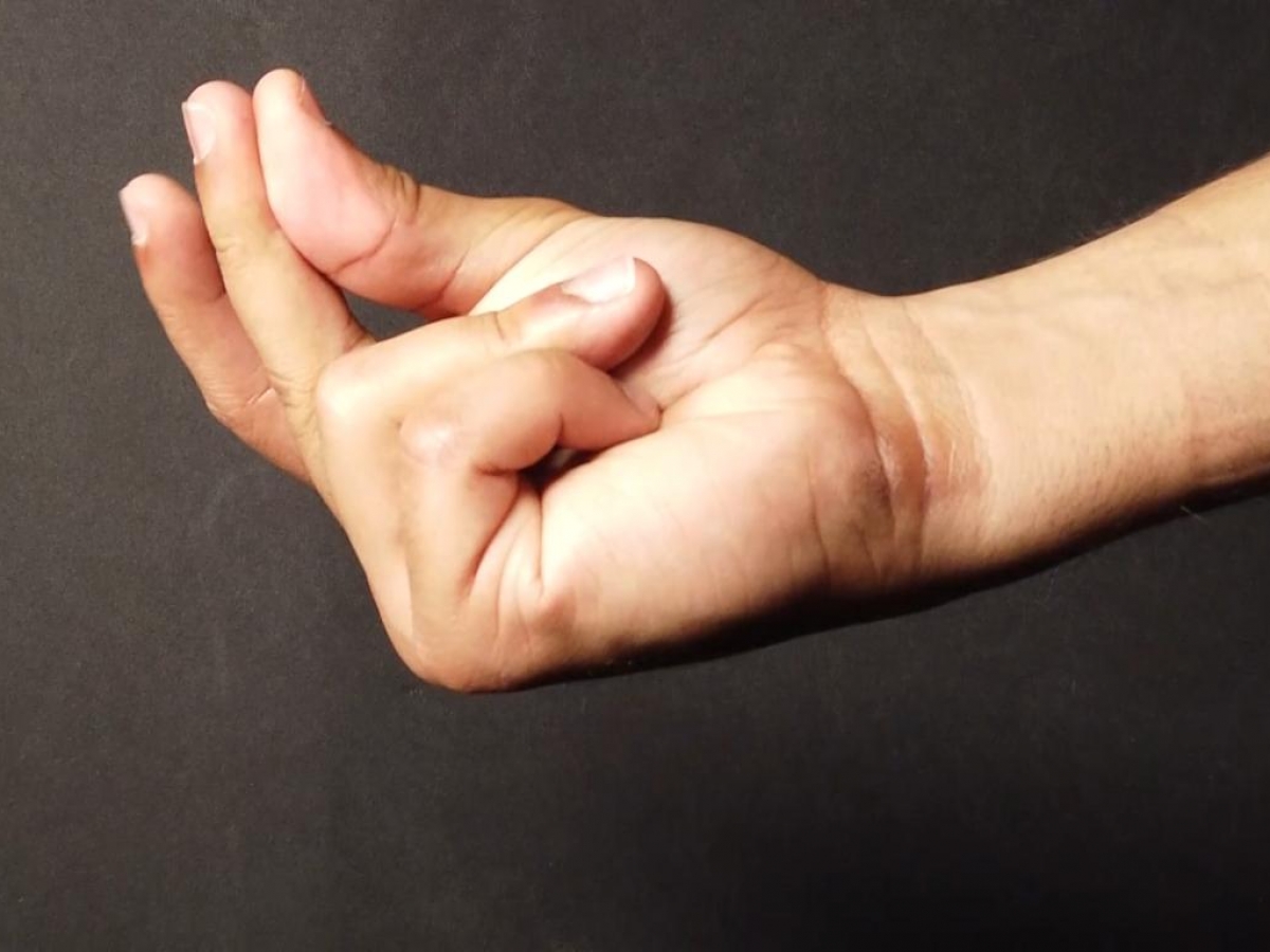 Echauffement pour enfants de 4 à 8 ans - Bidgerton - LaZwalla - Danse